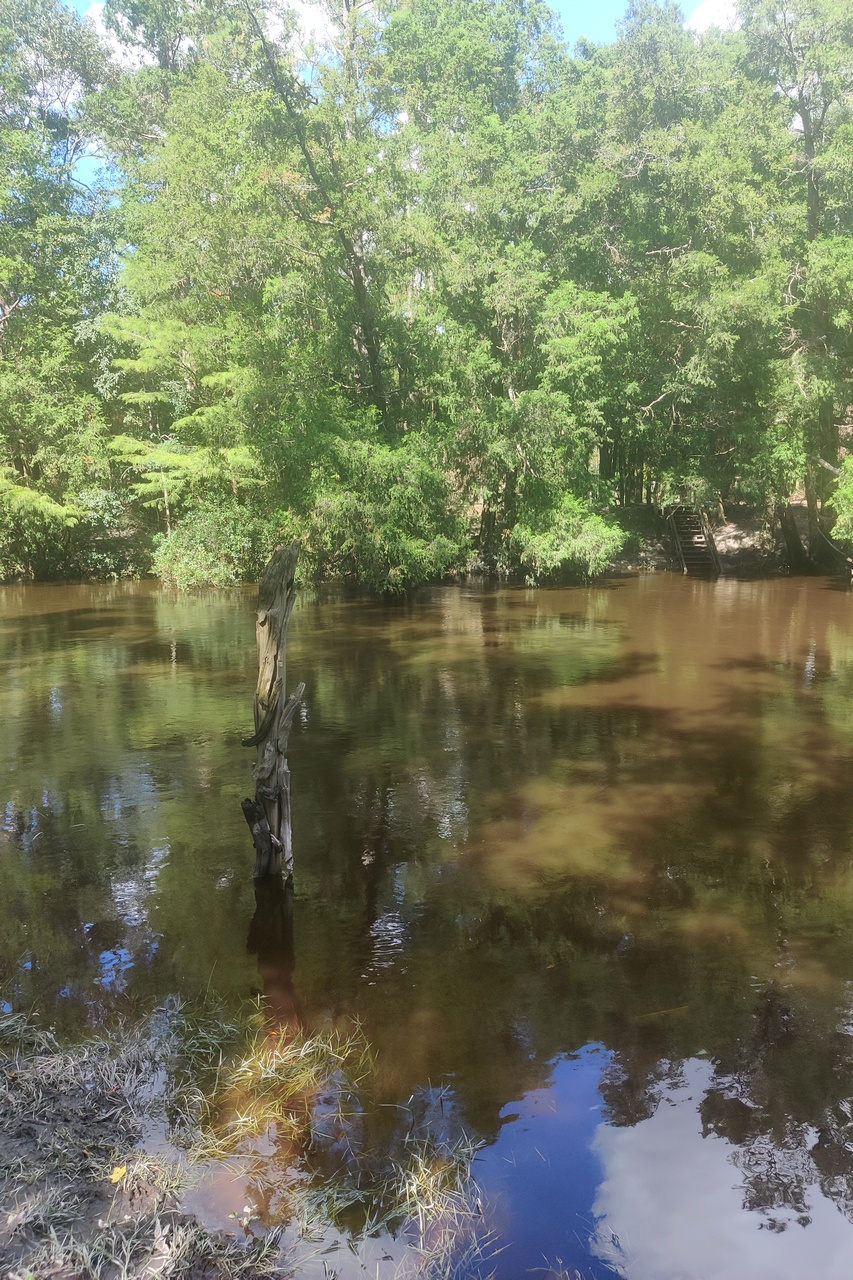 TS7 Hop 17 – Robertsdale AL to Tallahassee FL | Our Wander Years